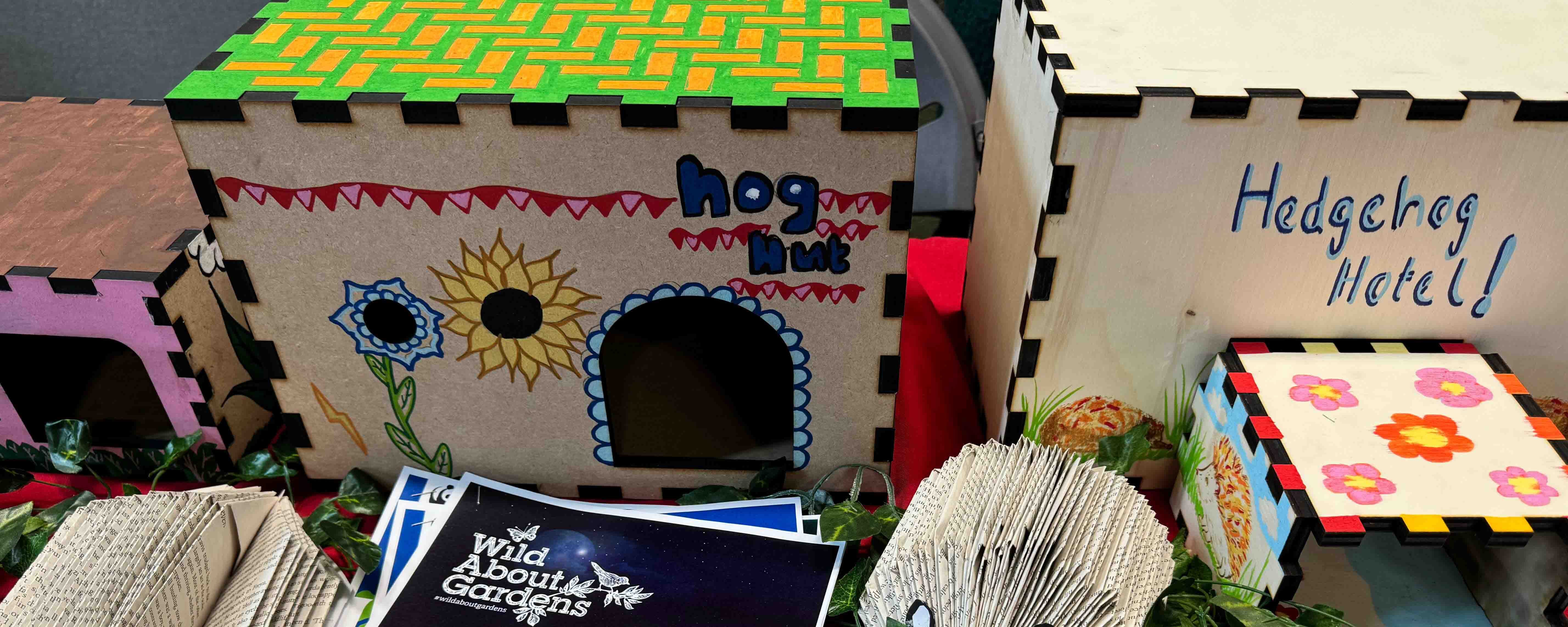 Walsall College declared hedgehog friendly campus | Walsall College